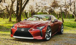 How to celebrate Sakura season from your sofa - Lexus UK Magazine