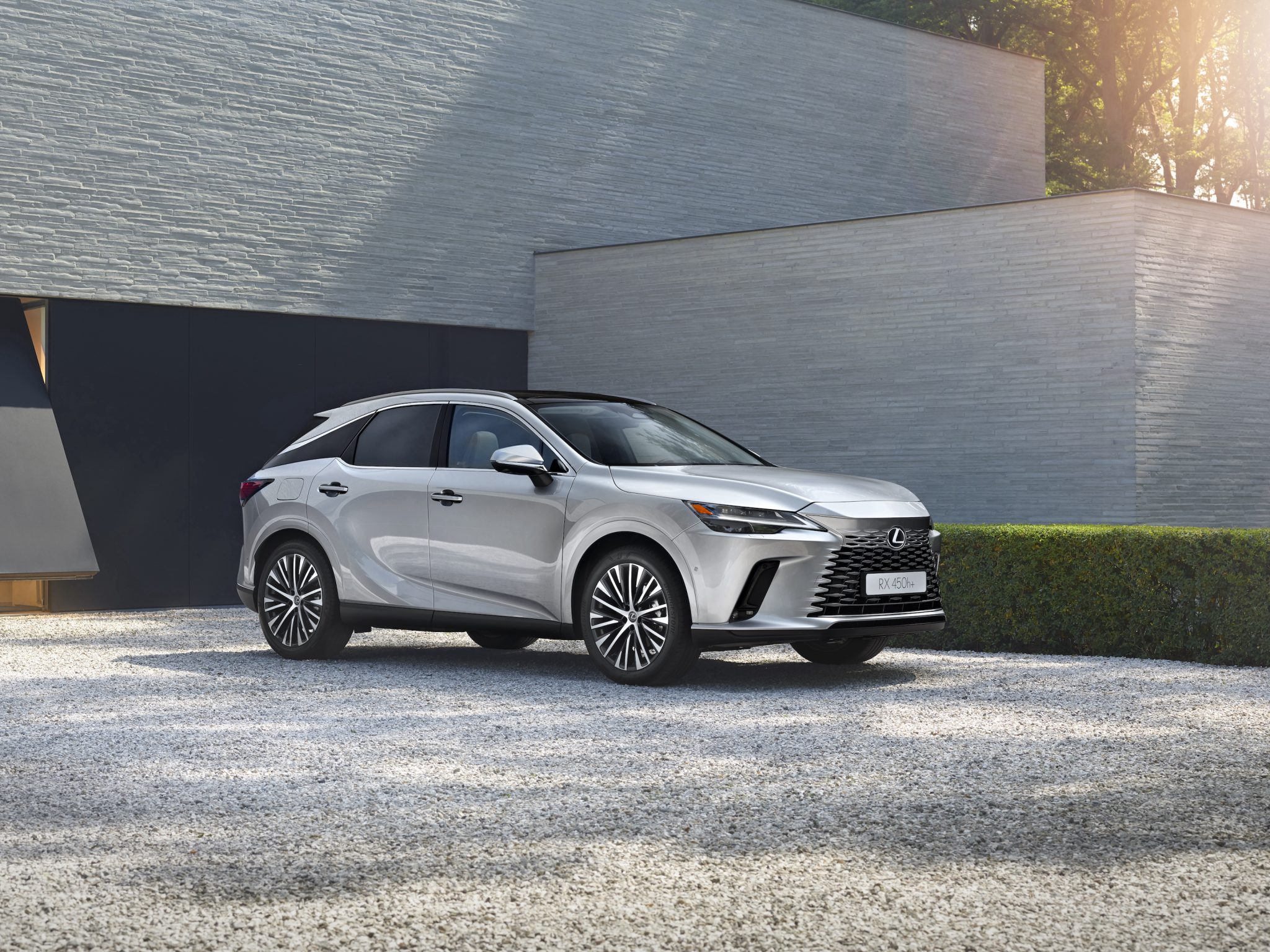 2023 Lexus RX: your questions answered - Lexus UK Magazine
