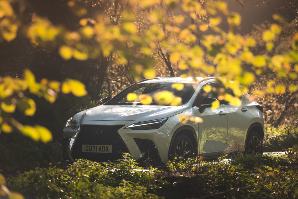 World-first Lexus pop-up shop appears in Taiwan - Lexus UK Magazine