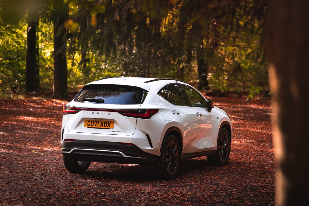 Shinrin-yoku: boosting 'outdoorphins' with Lexus NX - Lexus UK Magazine