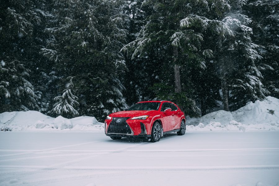 2025 Lexus UX 300e: What's changed? - Lexus UK Magazine