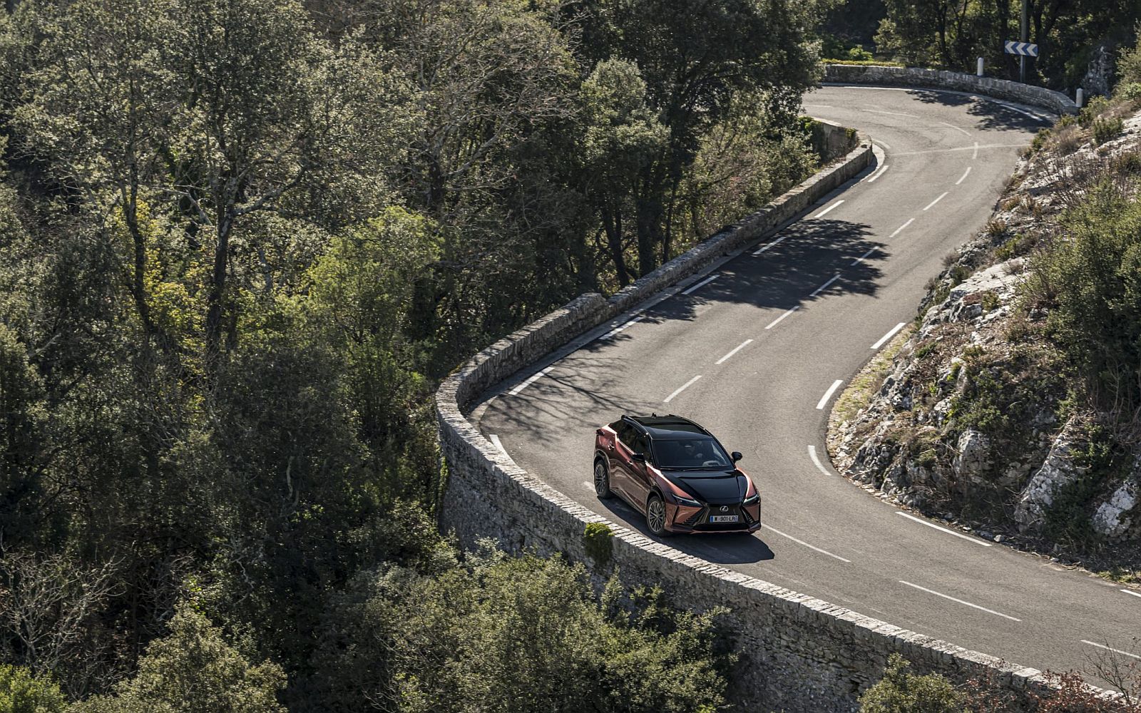 Lexus RZ reviews: the first test-drives - Lexus UK Magazine